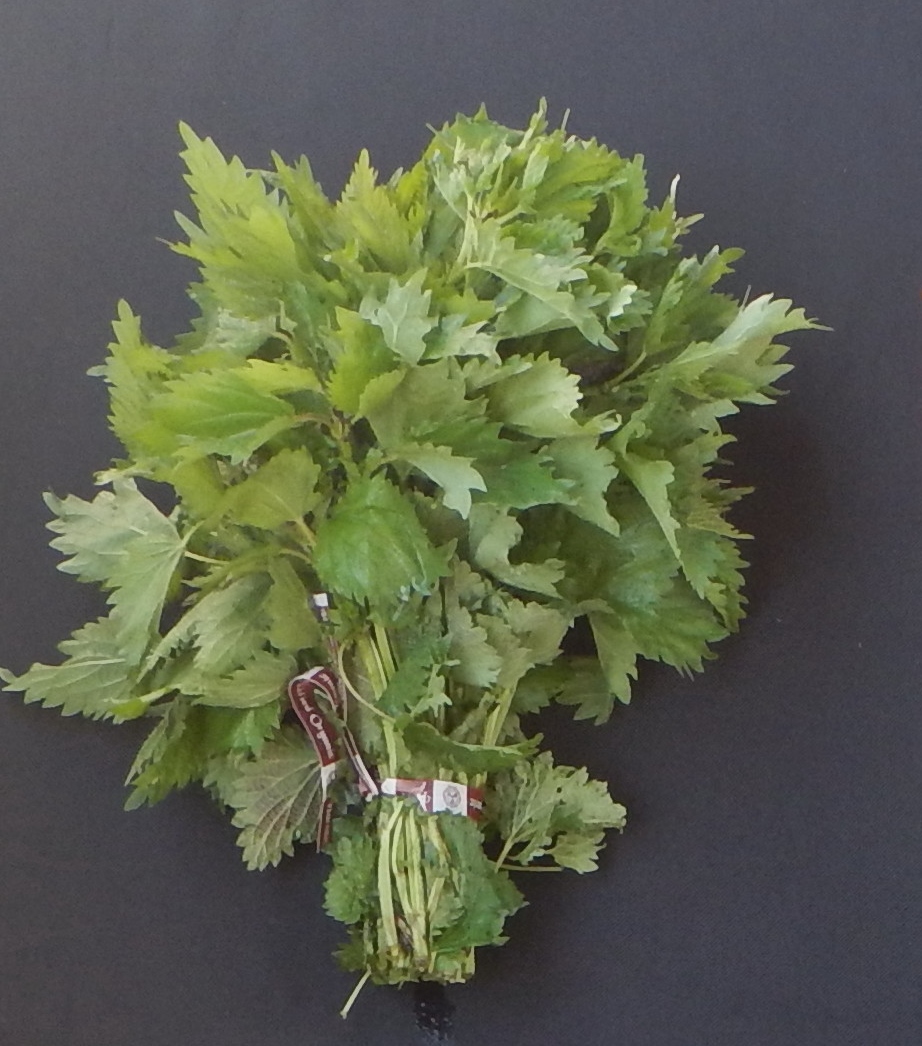 Nettles – Harmony Valley Farm