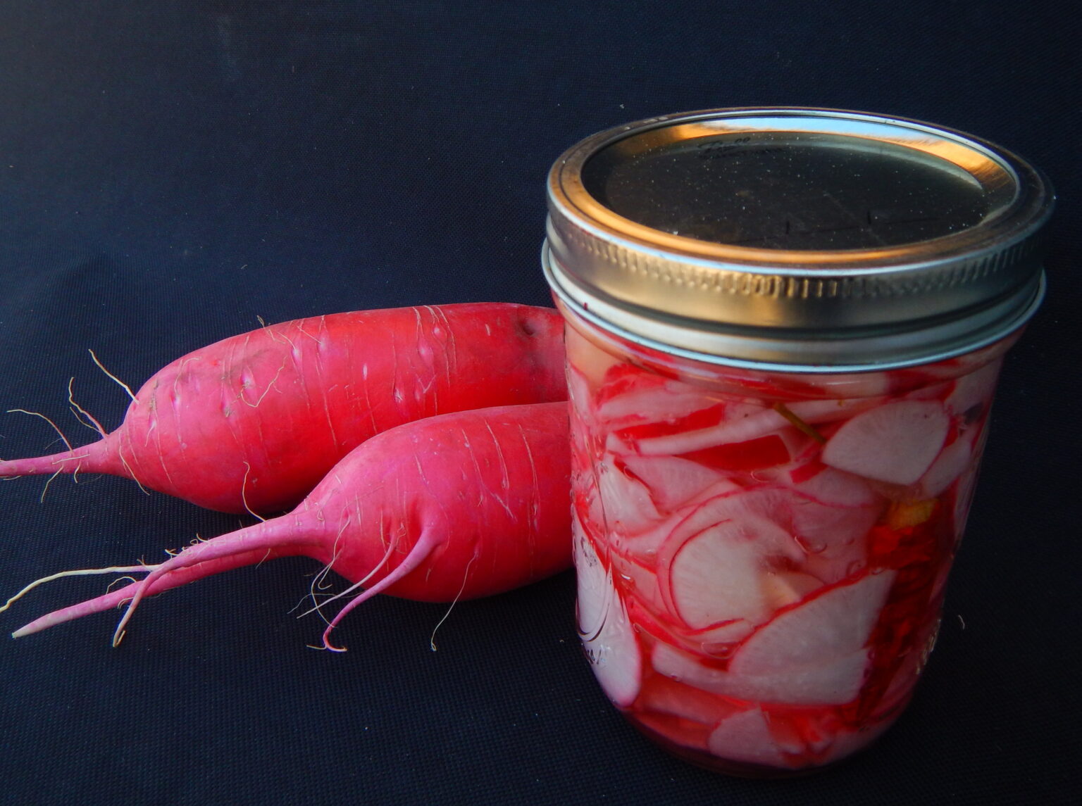 Quick & Easy Pickled Daikon Radish – Harmony Valley Farm