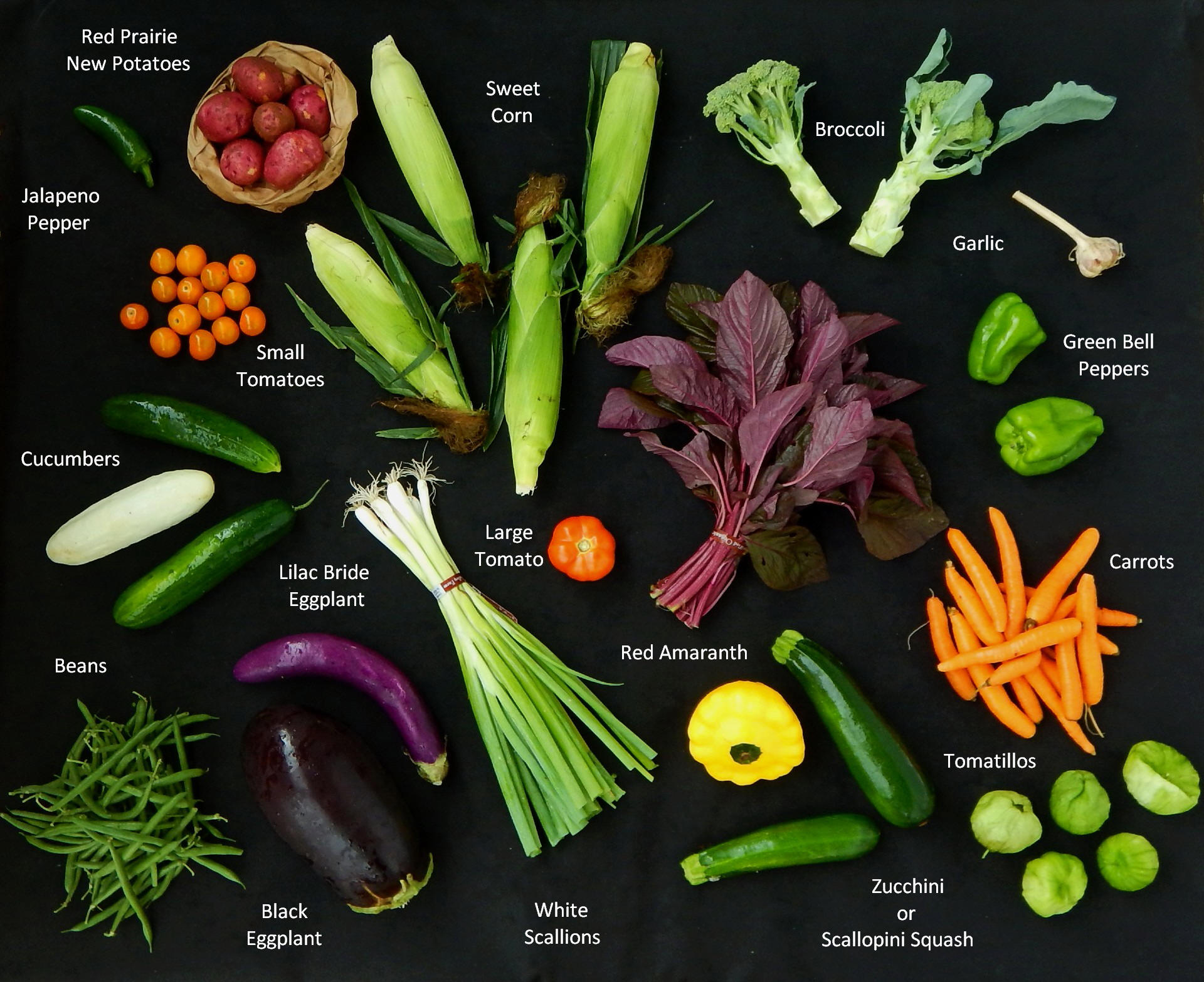 July 31, 2025 – This Week’s Box Contents Featuring Amaranth – Harmony Valley Farm